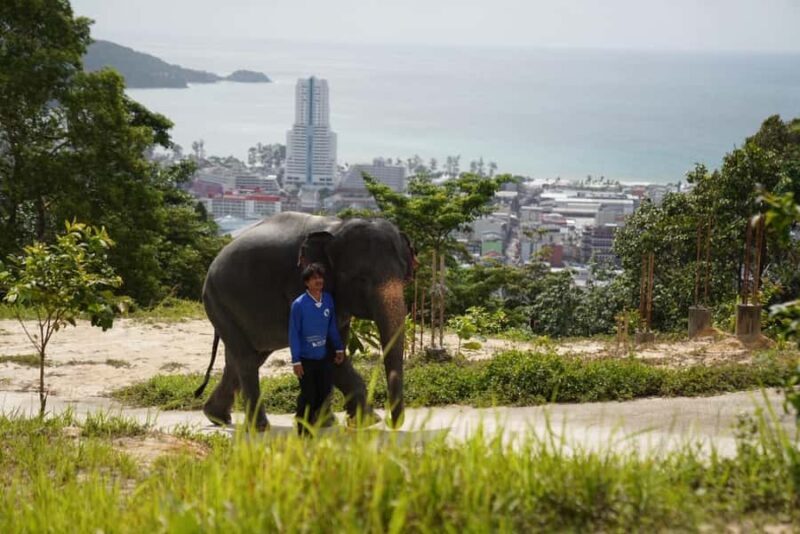 Phuket: Patong Highlights Elephant Sanctuary Tour - A Genuine Look at the Patong Highlights Elephant Sanctuary Tour