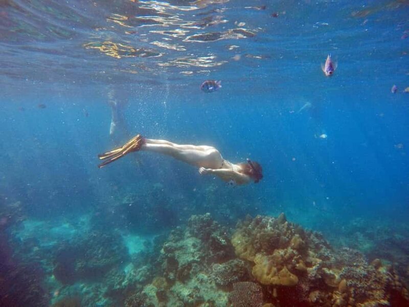 Phuket: Phi Phi & Bamboo Island by Speedboat - Key Points