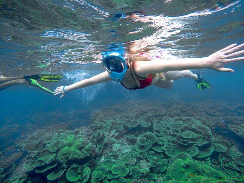 Phuket: Phi Phi & Bamboo Island by Speedboat - The Itinerary Breakdown: What Will Your Day Look Like?