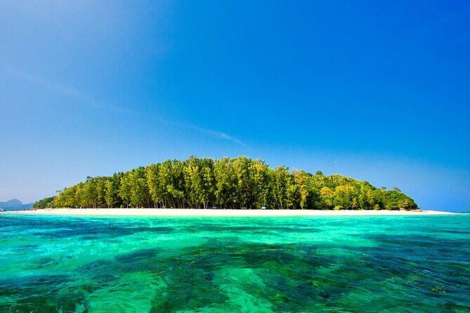 Phuket Phi Phi Island and Khai Island Snorkeling Tour with Lunch - Authentic Experiences and Traveler Feedback