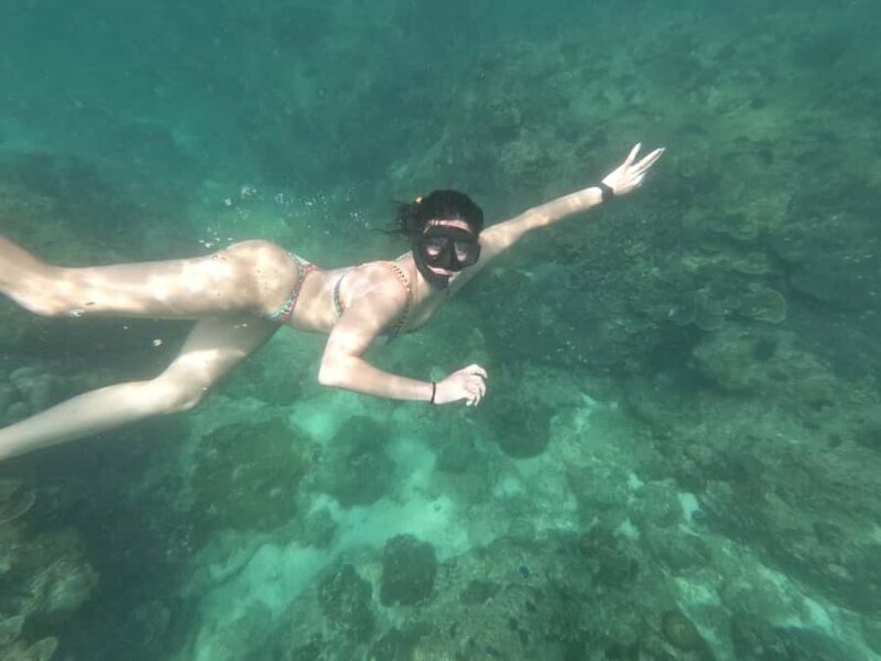 Phuket: Phi Phi Island Shark spotting sunset tour - Key Points