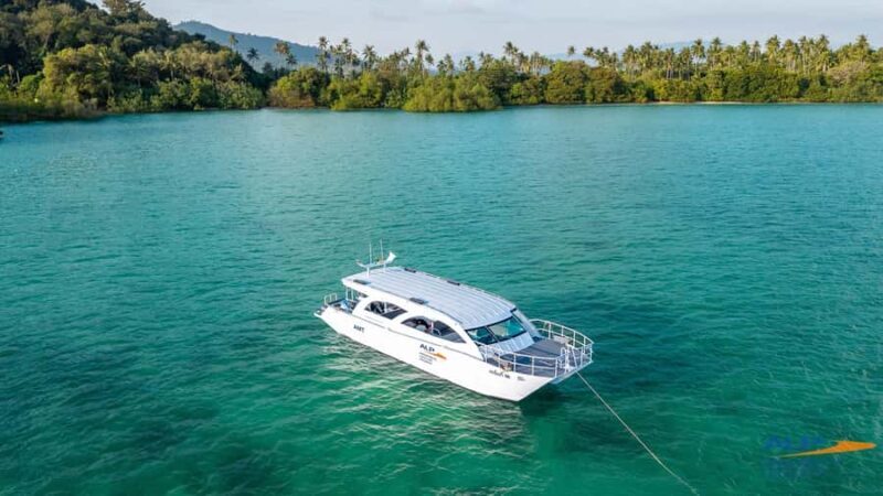 Phuket: Phi Phi Islands Premium Catamaran Tour Max 28 pax - Who Will Love This Tour?