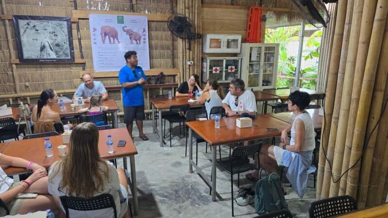 Phuket: Phuket Elephant Care Sanctuary ECO Tour - Authentic Experiences & Authenticity