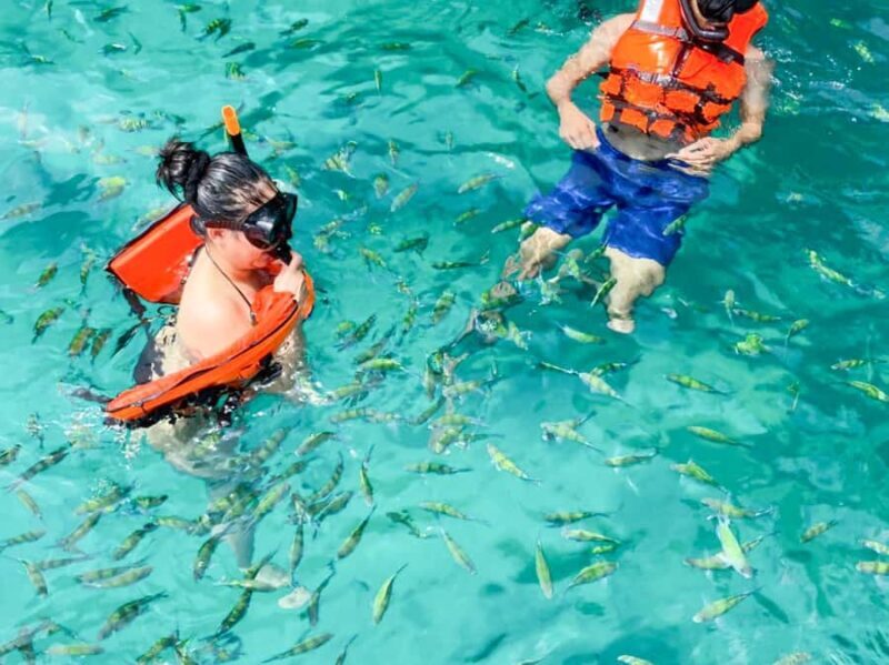 Phuket: Premium Day Trip to Phi Phi-Maya-Bamboo Island - FAQ