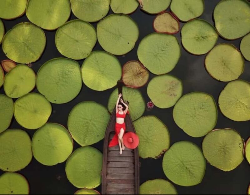 Phuket: Private & All-Inclusive Giant Water Lilies Tour - Who Will Love This Tour?