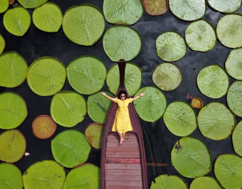 Phuket: Private & All-Inclusive Giant Water Lilies Tour - FAQs