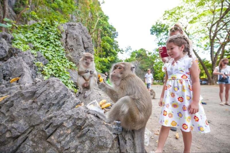 Phuket: Private ATV Jungle Tour to Hidden Forest Temples - Final Thoughts