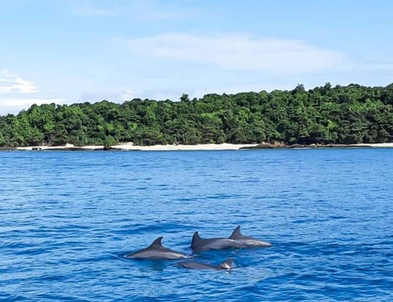 Phuket: Private Speed Boat to Maiton and Khai Islands - Practical Details & Considerations