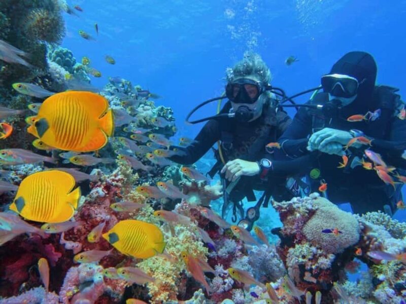 Phuket: Racha Island and Coral Islands + Scuba Beach Dive - Frequently Asked Questions