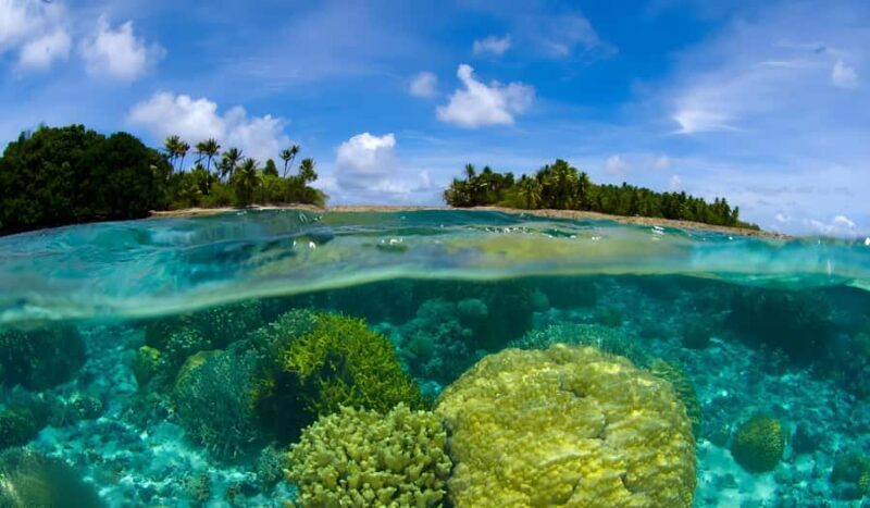 Phuket: Racha Noi & Maiton Catmaran Tour with Beach Picnic - Overview of the Tour Experience