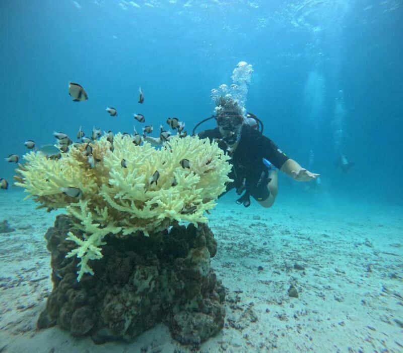 Phuket: Racha PADI Discover Scuba Diving 2 Dives and GoPro - Transportation and Practicalities