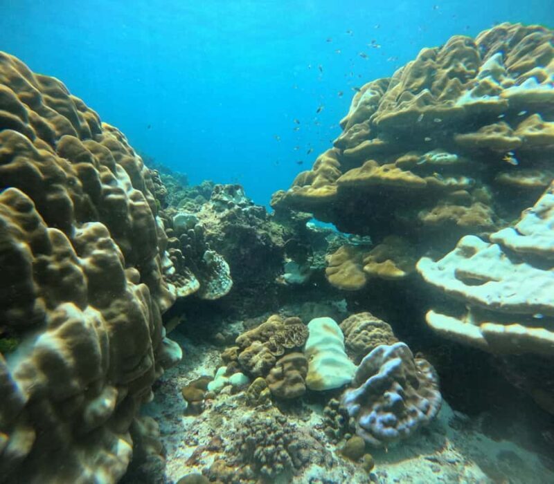 Phuket: Racha PADI Discover Scuba Diving 2 Dives and GoPro - Cost and Value