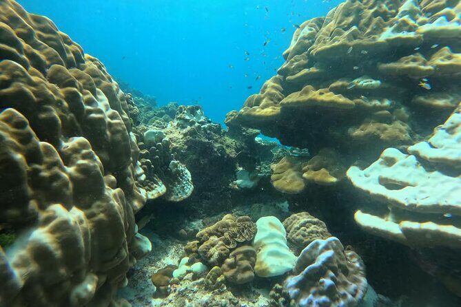 Phuket Racha PADI Discover Scuba Diving 2 Dives and GoPro - FAQ