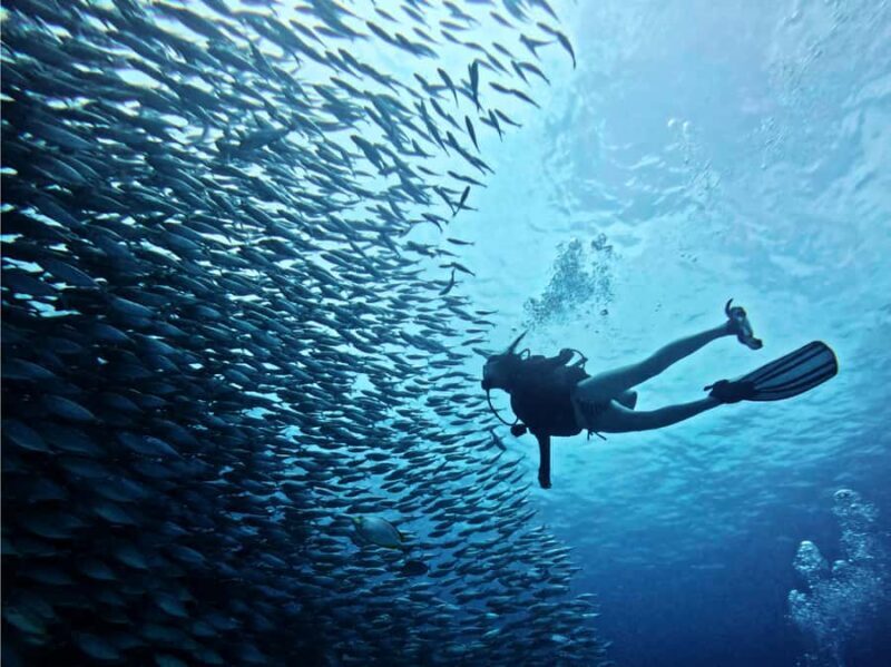 Phuket: Racha Yai & Noi 3-Scuba Dive Day Trip - Introduction: Is This Tour Right for You?