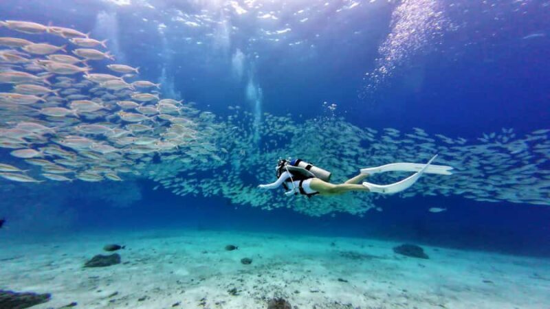 Phuket: Racha Yai & Racha Noi Island Diving Day Trip - An Introduction to the Experience