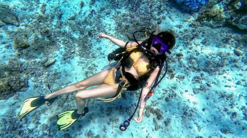 Phuket: Racha Yai & Racha Noi Island Diving Day Trip - What to Expect: A Step-by-Step Breakdown