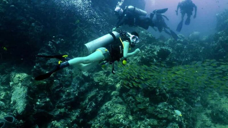 Phuket: Racha Yai & Racha Noi Island Diving Day Trip - Final Thoughts: Why You Should Consider This Adventure