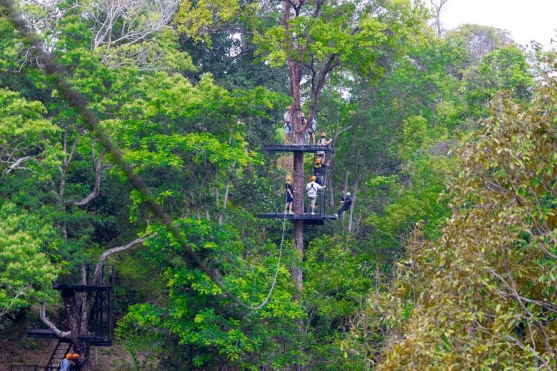Phuket: Rainforest Eco Zipline Expedition - Key Points