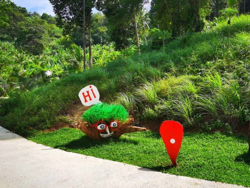 Phuket: Rock Beach Swing Entry Ticket - What Is the Phuket Rock Beach Swing?