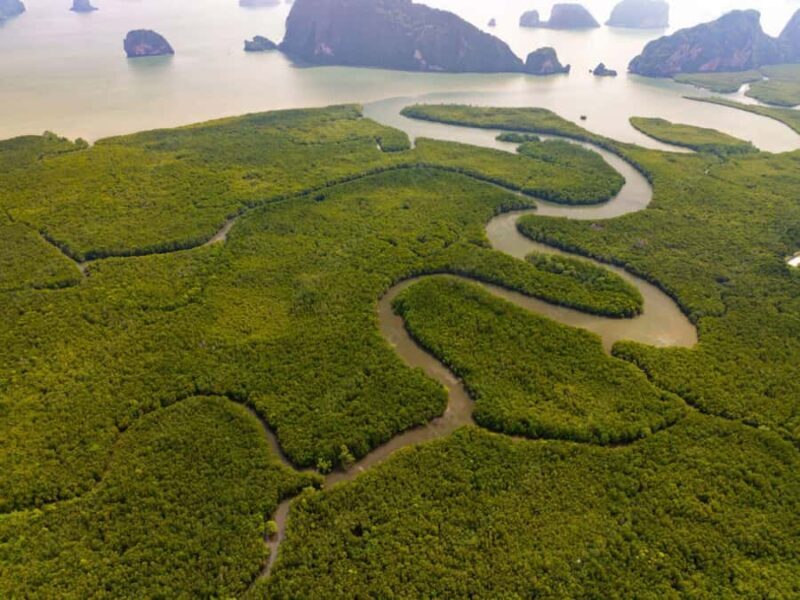 Phuket : Samet Nangshe and Cheow Lan Lake Adventure Day Tour - The Sum Up