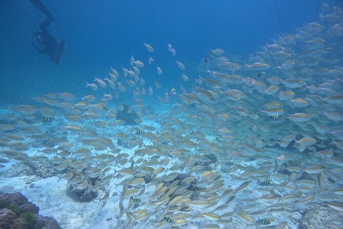 Phuket: Scuba Dive Racha and Coral Islands with Snorkeling Tour - Reviews in Perspective