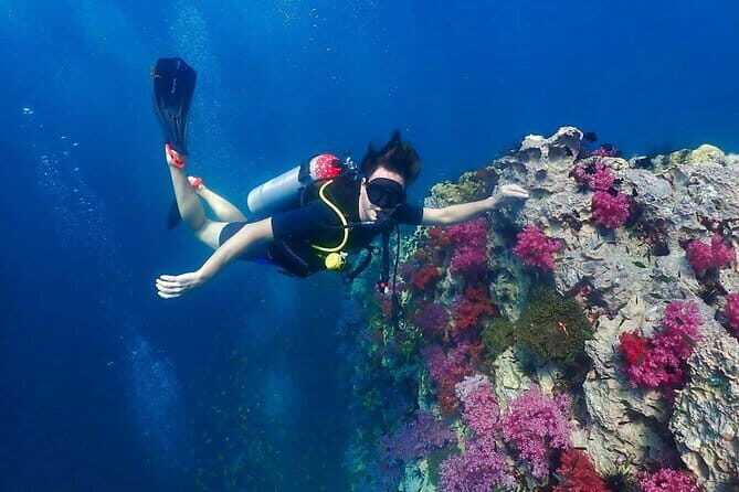 Phuket Scuba Diving Adventure for All Levels with Transfer - Key Points