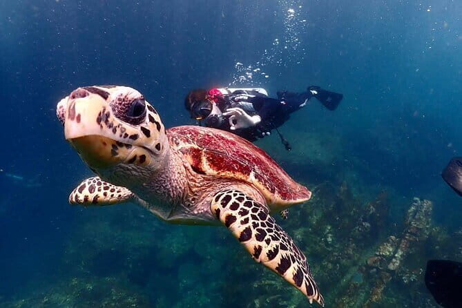 Phuket Scuba Diving Adventure for All Levels with Transfer - An Introduction to the Phuket Scuba Diving Experience