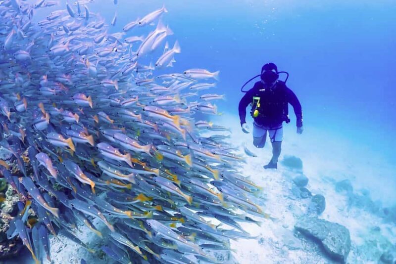 Phuket: Scuba Diving Maithon Or Racha Islands For All Levels - The Value Proposition: Is It Worth It?