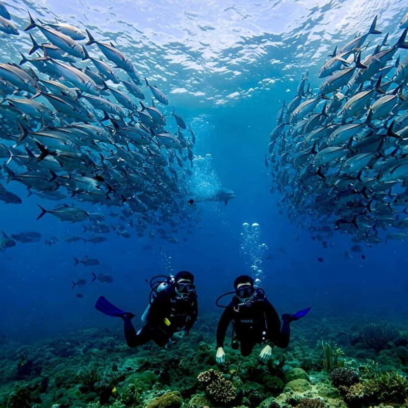 Phuket: Scuba Diving Maithon Or Racha Islands For All Levels - Final Thoughts: Who Will Enjoy This Experience?