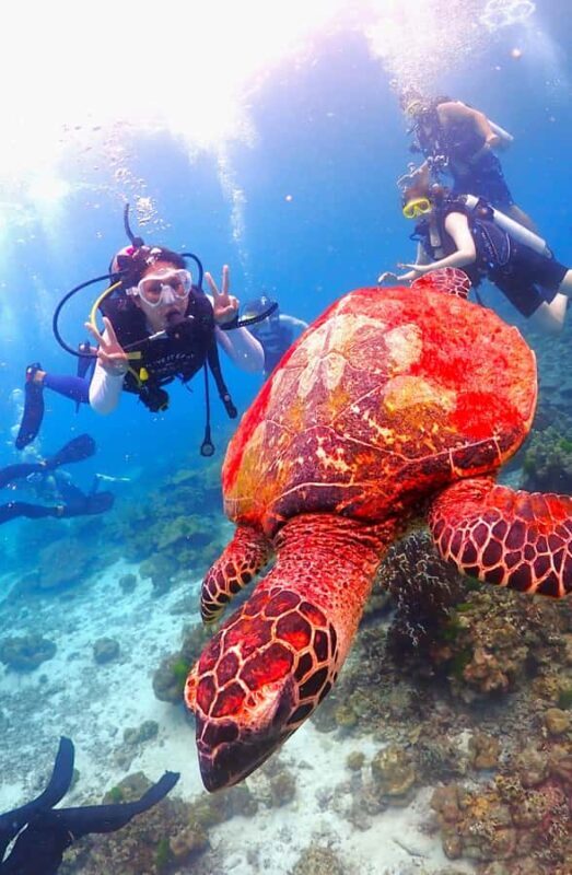 Phuket: Scuba Diving Maithon Or Racha Islands For All Levels - Frequently Asked Questions