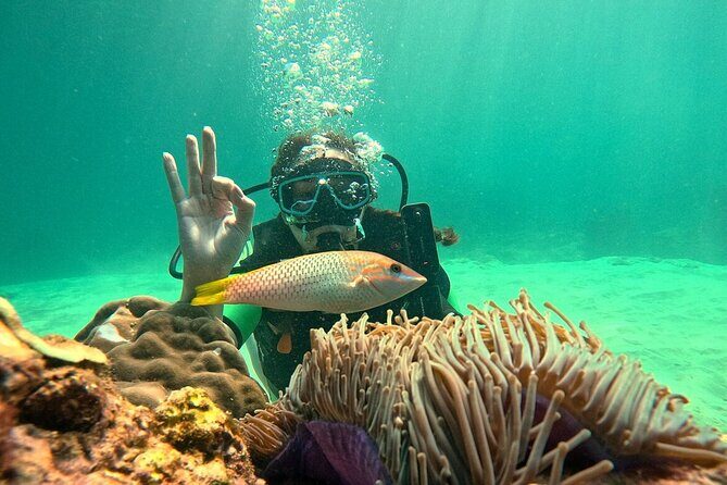 Phuket Scuba Diving: Racha Island Or Maiton Island For All Levels - Frequently Asked Questions