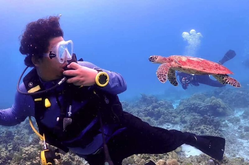 Phuket Scuba Diving Racha Islands 1-3 Dives For All Levels - An Authentic Look at the Racha Islands Dive Experience