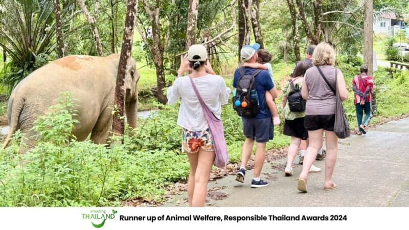 Phuket: Sea Turle Center,Temples,Tsunami & Elephant and More - An Honest Look at the Tour Experience