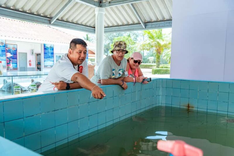 Phuket: Sea Turle Center,Temples,Tsunami & Elephant and More - Final Reflection