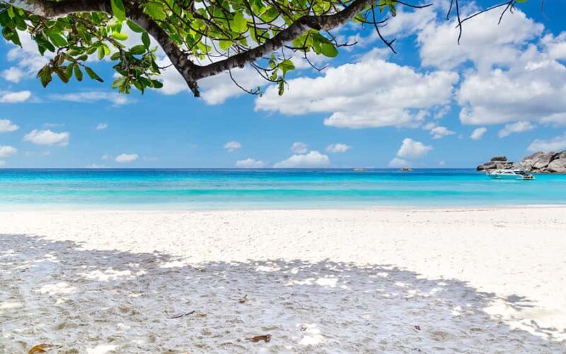 Phuket: Similan Day Trip by Speedboat - Key Points