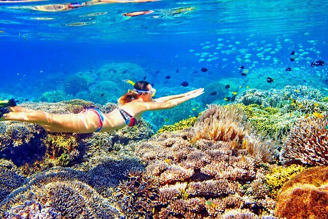 Phuket Similan Island Andaman Ocean Tour by Van and Speedboat - Practical Considerations and Traveler Insights