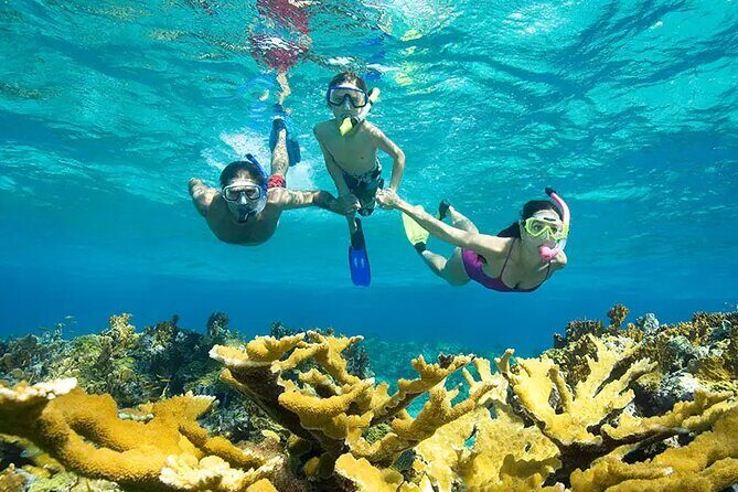 Phuket Similan Island Andaman Ocean Tour by Van and Speedboat - Final Thoughts