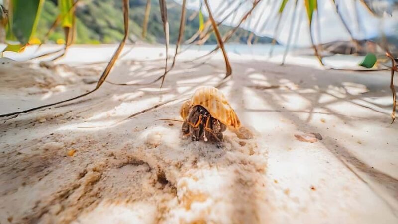 Phuket: Similan Island by Speedboat - Final Thoughts