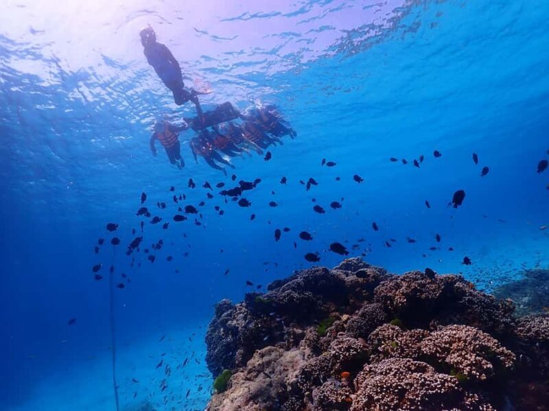 Phuket: Similan Island Snorkeling Adventure full day tour - Second Snorkeling Stop and More Beach Time