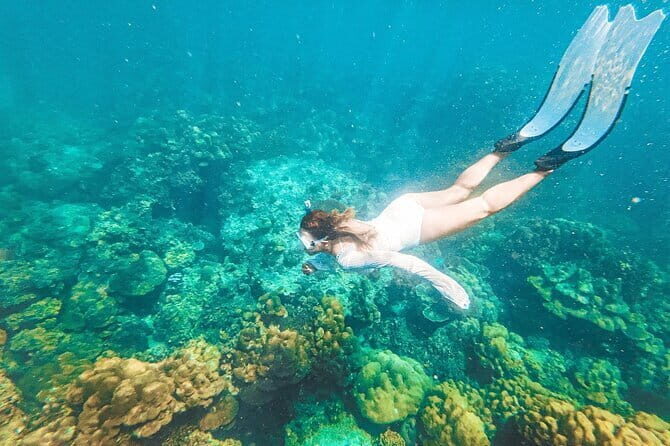 Phuket Speedboat Day Tour to Phi Phi & Maya Bay Highlights - What the Reviewers Say