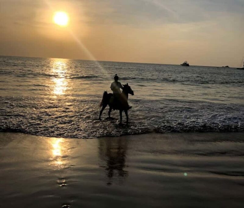 Phuket: Sunset Beach Horseback Journey - Key Points