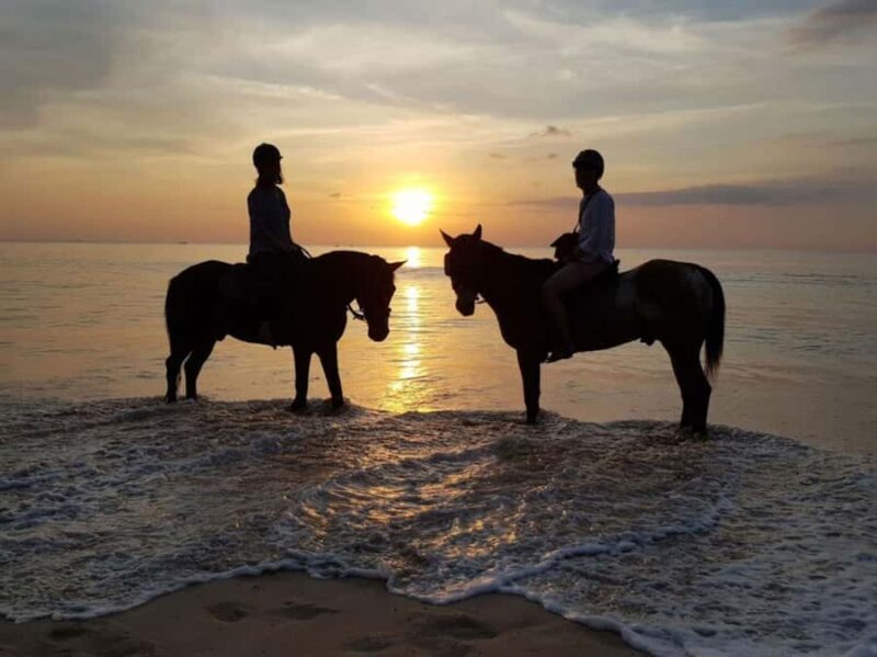 Phuket: Sunset Beach Horseback Journey - What You Need to Know Before Booking