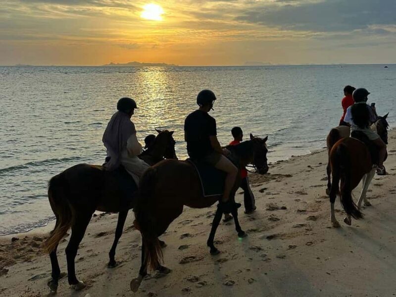Phuket: Sunset Beach Horseback Journey - Authentic Reviews and Insights