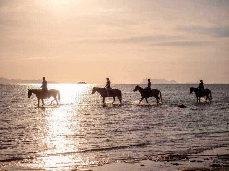 Phuket: Sunset Beach Horseback Journey - Final Thoughts: Is This Tour For You?