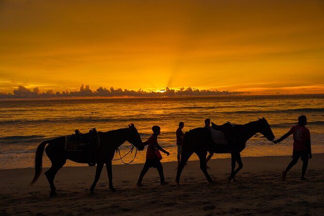 Phuket Sunset Horse Riding at Kamala Beach - An In-Depth Look at Phuket Sunset Horse Riding
