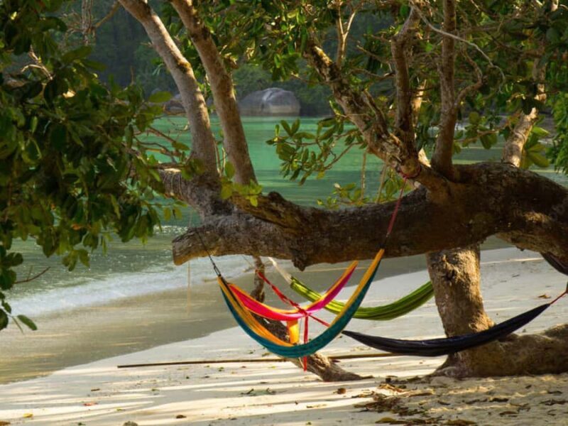 Phuket: Surin Islands Day Tour by Speedboat - The Bottom Line