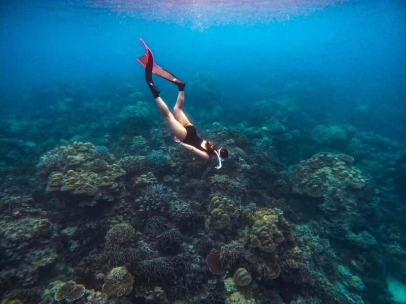 Phuket: Surin Islands Full Day Snorkeling Tour by Speedboat - FAQs