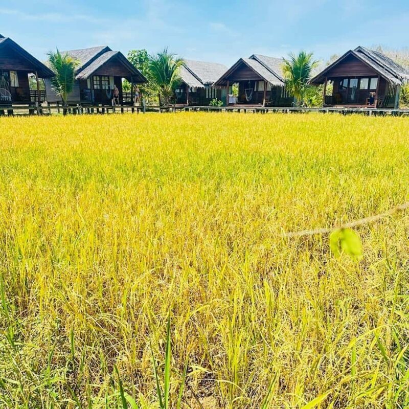 Phuket to Krabi: Koh Hong, Koh Yao & Lao Lading Tour - Key Points