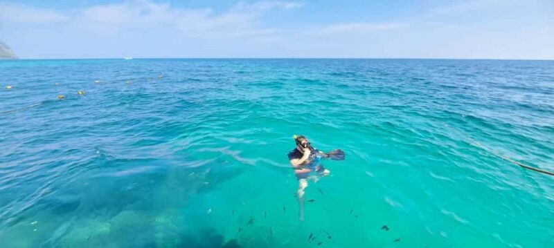 Phuket to Phi Phi Full-Day Luxury Speed Boat Charter - Key Points