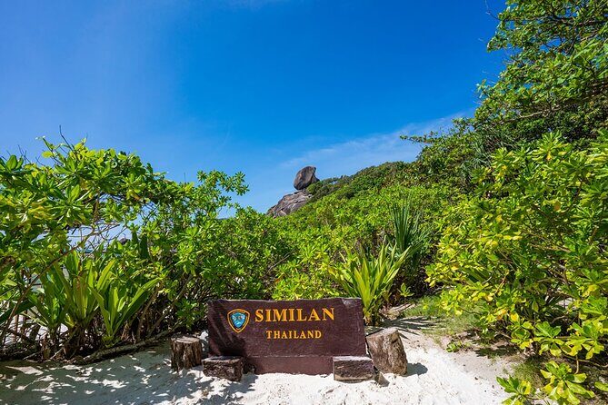 Phuket to Similan Islands Snorkeling Tour - A Deep Dive into the Experience